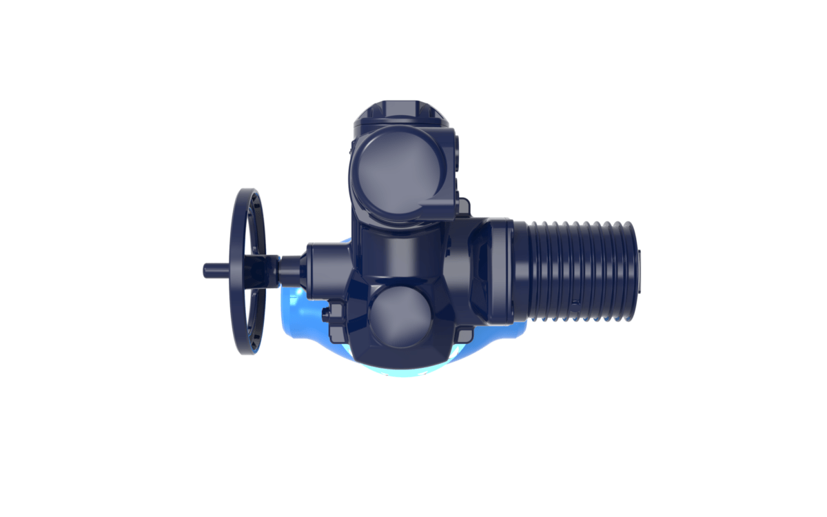 Globe Valves | Trillium Flow Technologies™