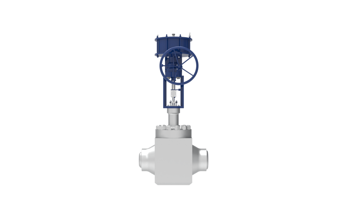 BV990 & BV992 Cage Trim Valves - Class 900lb and above
