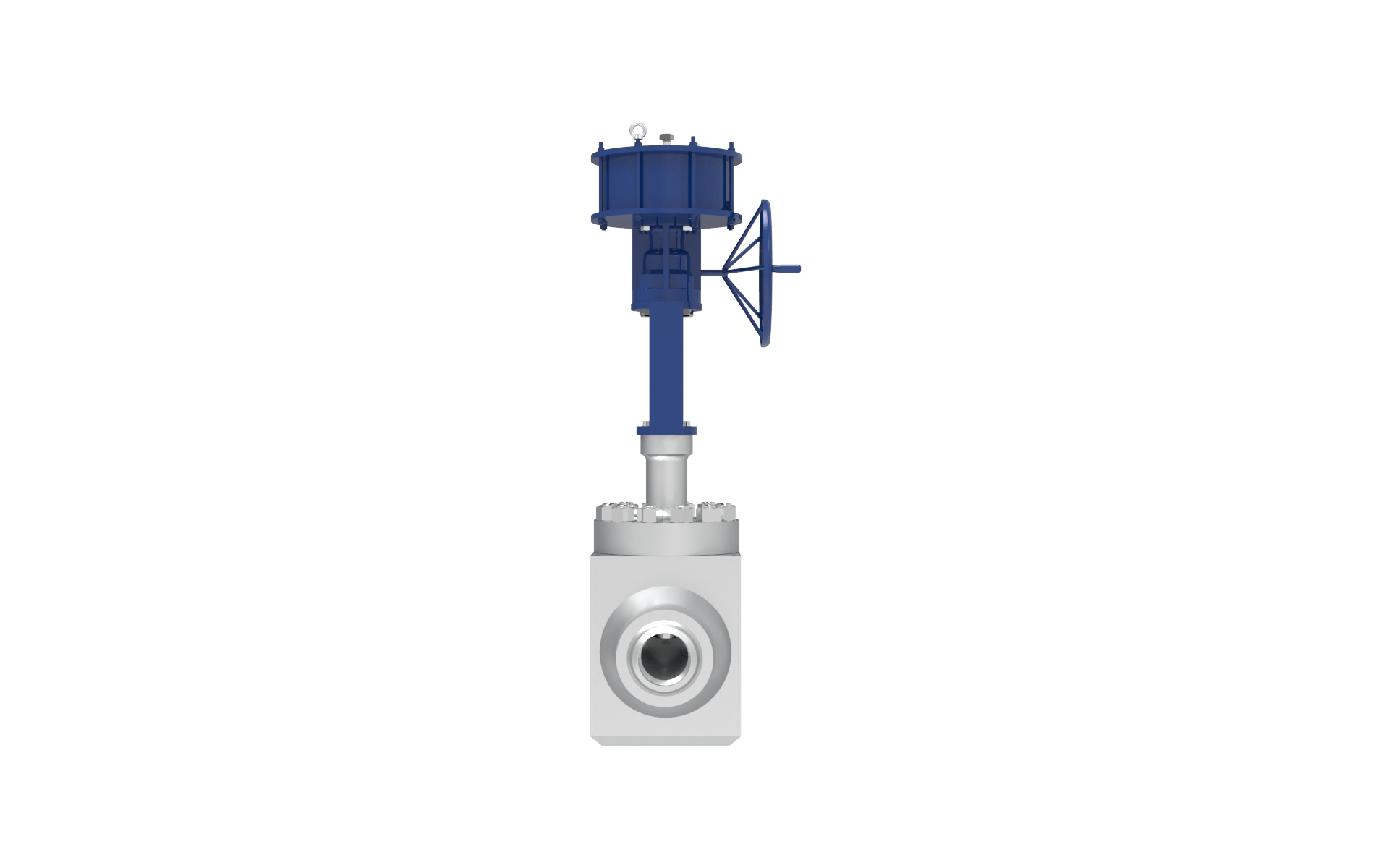 BV990 & BV992 Cage Trim Valves - Class 900lb and above